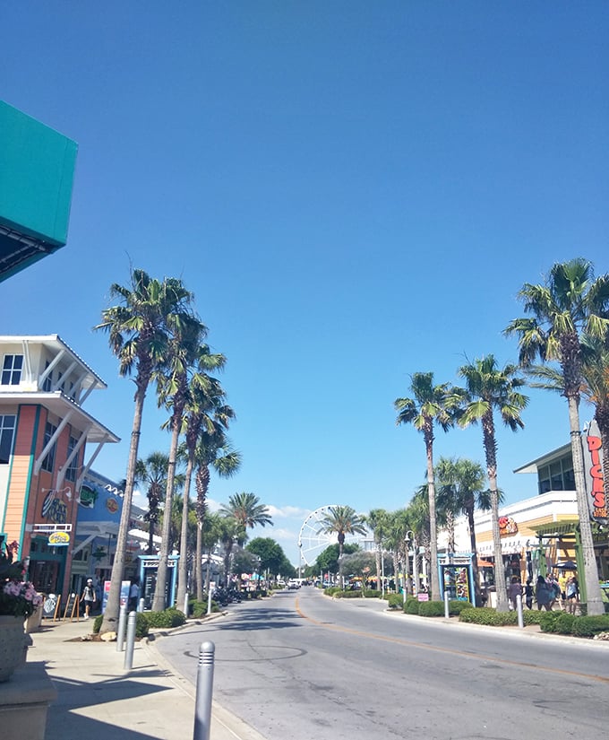 Palm trees frame a street view that screams "Florida living" without actually screaming – it's more of a contented sigh, really.