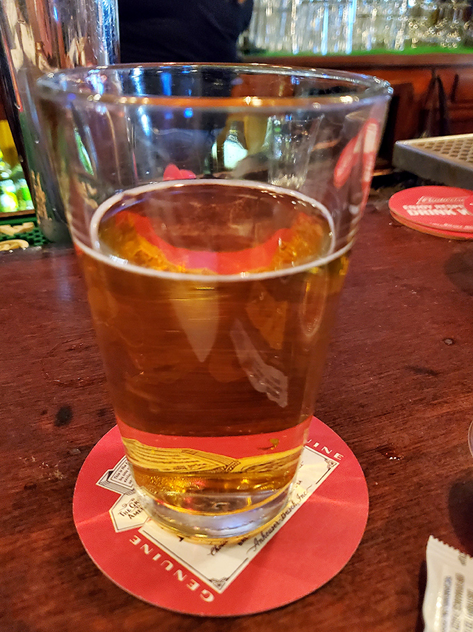 A perfectly poured beer catching the bar light just right—liquid amber that pairs beautifully with everything on the menu.