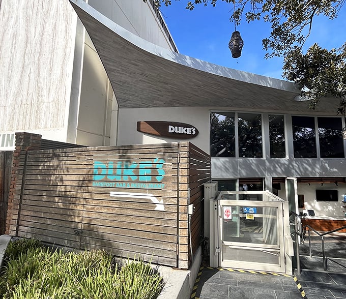 Duke's La Jolla serves up coastal cuisine with architectural flair – where mid-century modern meets laid-back beach vibes and nobody's rushing you through dessert.