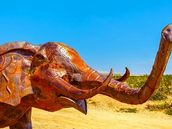 The most photogenic elephant you'll ever meet – never forgets a pose and requires absolutely no peanuts.