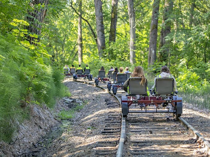 Nature's cathedral—pedaling through sun-dappled forest corridors creates the perfect meditation on wheels.