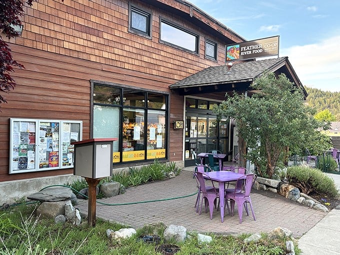 The Feather River Food Co-op—where purple chairs invite you to contemplate whether your kale smoothie needs more chakra alignment.