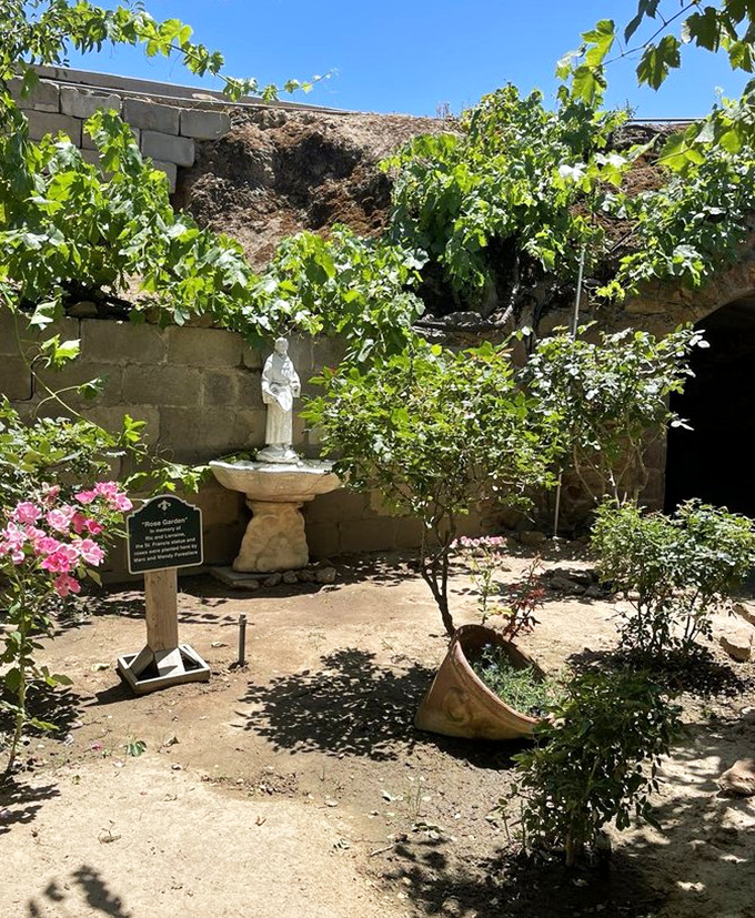 Mediterranean inspiration meets California ingenuity in this sunlit courtyard. Plants thrive while visitors stay cool—the original win-win situation.