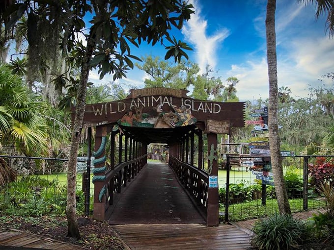 "Wild Animal Island" entrance: the gateway to adventure that promises close encounters with Florida's most fascinating residents—no Mickey ears required.
