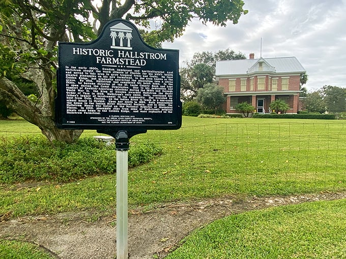 The Historic Hallstrom Farmstead whispers stories of old Florida, when pineapple farming was king and air conditioning was just a pleasant daydream.