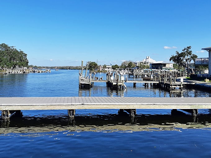 The boat ramp where fishing dreams launch and fresh seafood stories are born daily.