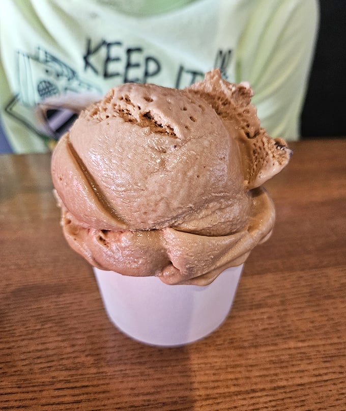Ice cream that doesn't care about your diet plans – a cool, creamy rebellion against restraint that's worth every delicious calorie.