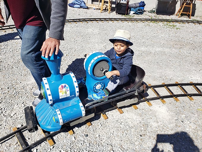 Future engineers take the controls of this miniature blue locomotive – proving you're never too young to fall in love with trains.
