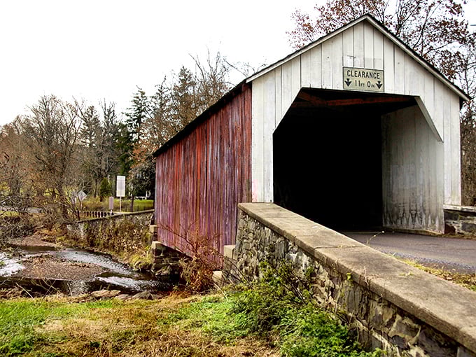 The approach to Erwinna Bridge offers that perfect moment of anticipation—like the opening scene of a movie where you know something wonderful is about to happen.