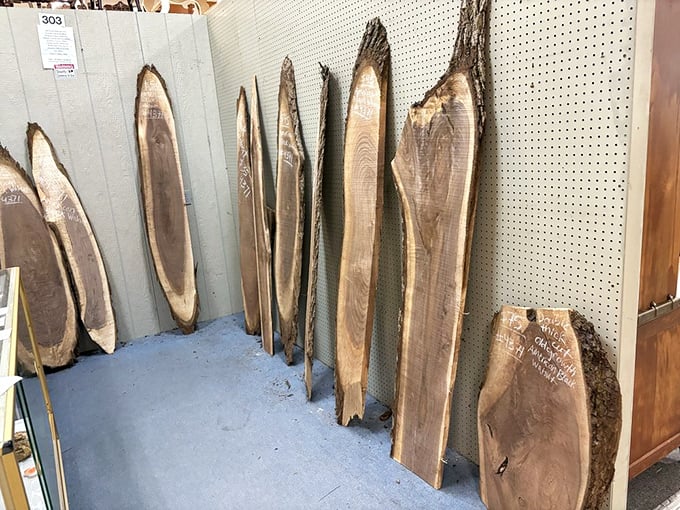 Nature's art gallery—these live-edge wood slabs tell stories of decades of growth, waiting to become statement pieces in lucky homes.