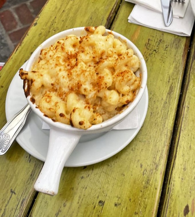 Mac and cheese that's achieved the perfect golden crust—the kind your spoon breaks through with a satisfying crack that sounds like culinary applause.