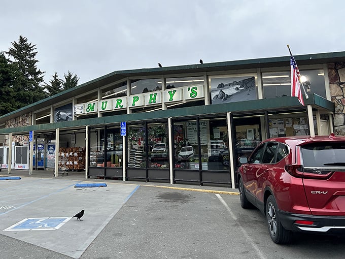 Murphy's Market – where locals shop and visitors discover they've been using the wrong hot sauce their entire lives.