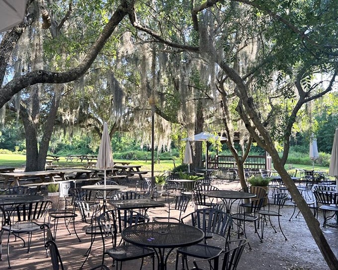 Dappled sunlight, Spanish moss, and the scent of fresh bread—this outdoor seating area under Florida oaks creates a magical dining atmosphere.