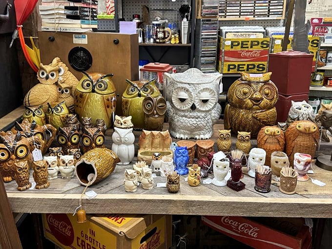 The owl collection proves that before there were cat videos, there were ceramic hooting birds – a quirky obsession that never quite goes extinct.