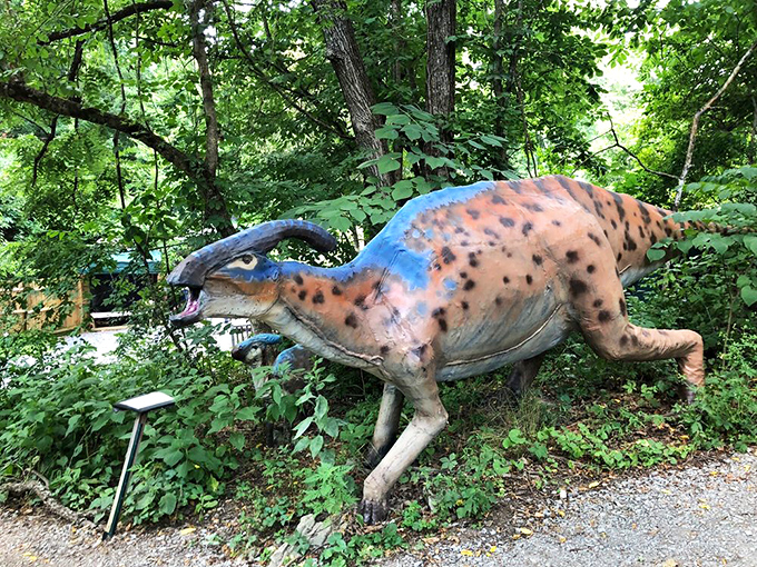 This blue-crested dinosaur appears mid-charge from the underbrush, its vibrant coloration a speculative but exciting vision of prehistoric life.