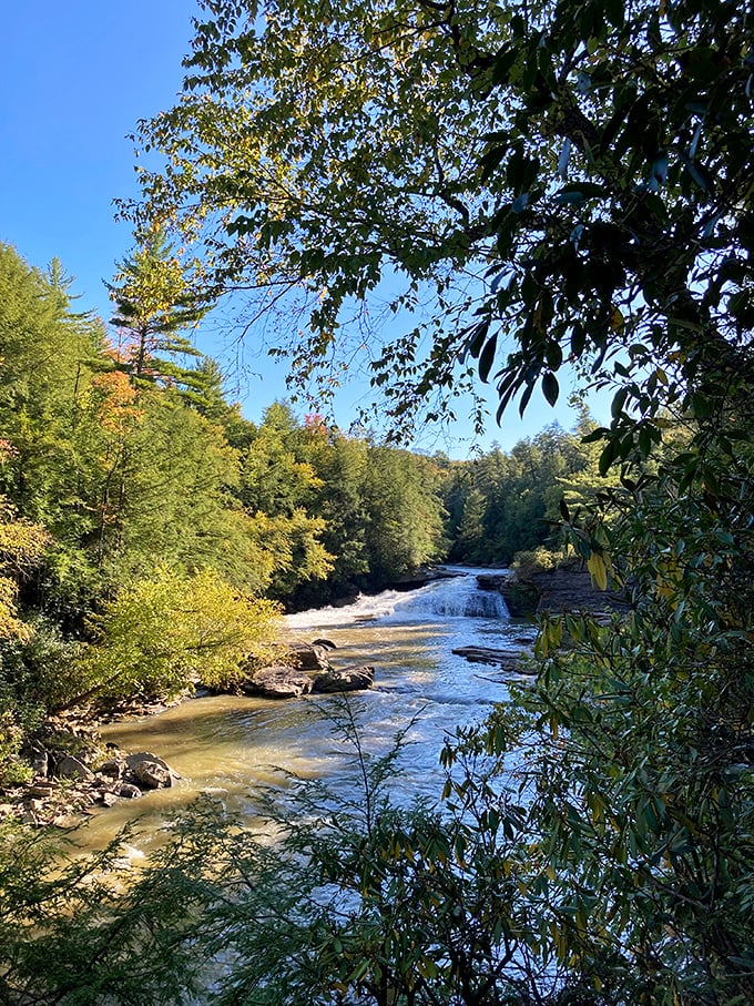 Sunlight turns the flowing water into liquid gold. If only my retirement account appreciated this beautifully in the sunshine.