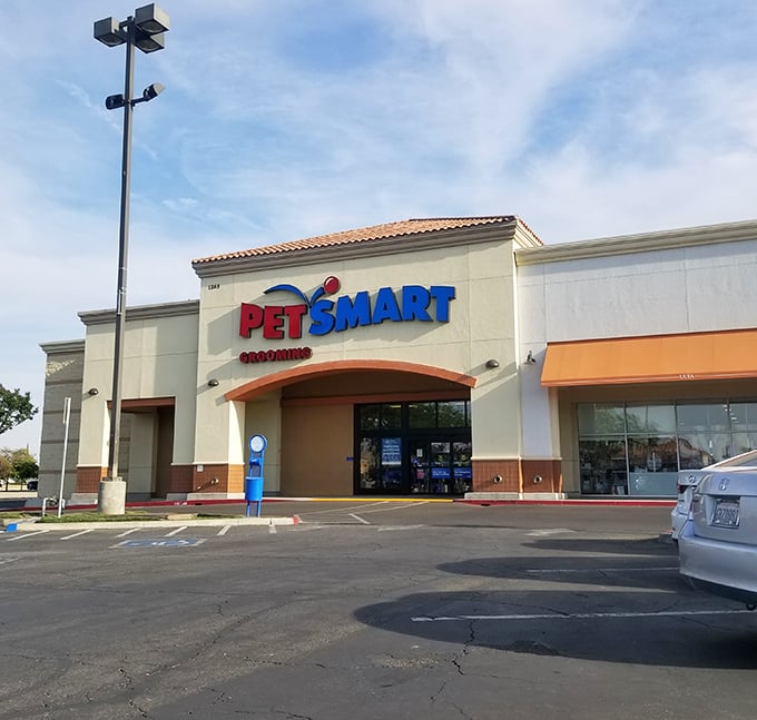 Yes, Porterville has the national chains too—because sometimes your pet needs a spa day even in a small town.