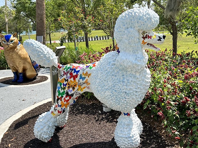 A poodle that looks like it stepped straight out of a fairy tale. The white textured coat with colorful patchwork creates a magical effect.
