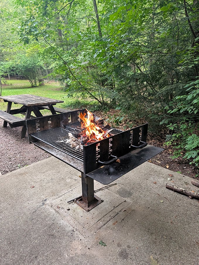 The original cooking app—actual fire! This grill has prepared more memorable meals than any fancy kitchen gadget ever could. 