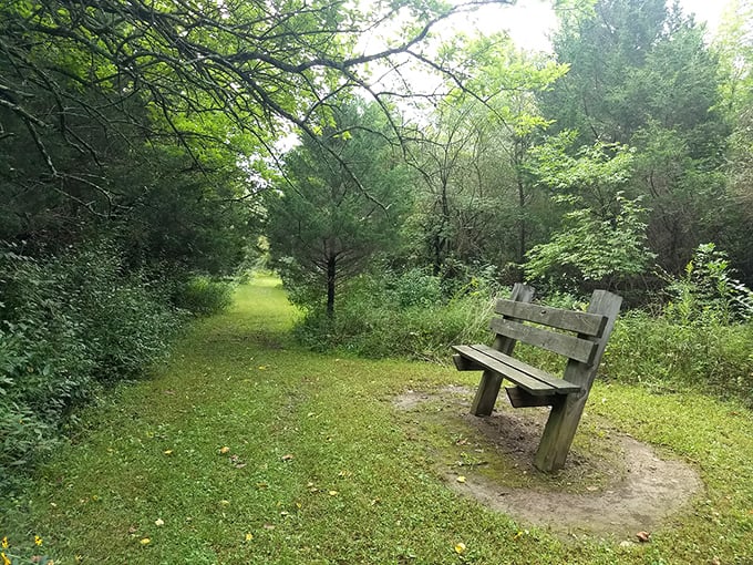 This humble bench offers five-star views without reservation requirements—the best seat in nature's theater is always available.