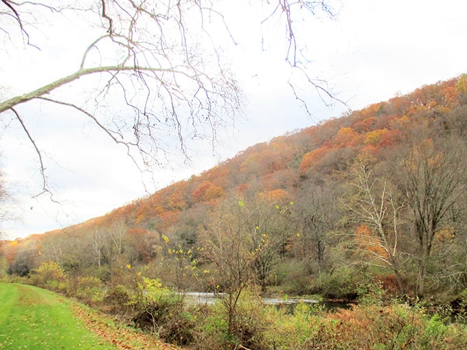 Fall foliage in Pennsylvania isn't just pretty—it's a full-sensory masterpiece that makes New England leaf-peepers wonder if they've been visiting the wrong region.