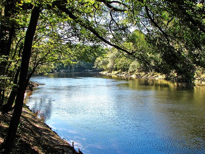 The Suwannee's gentle current carries away your worries along with fallen leaves. This isn't just a river view—it's nature's stress management program in liquid form.