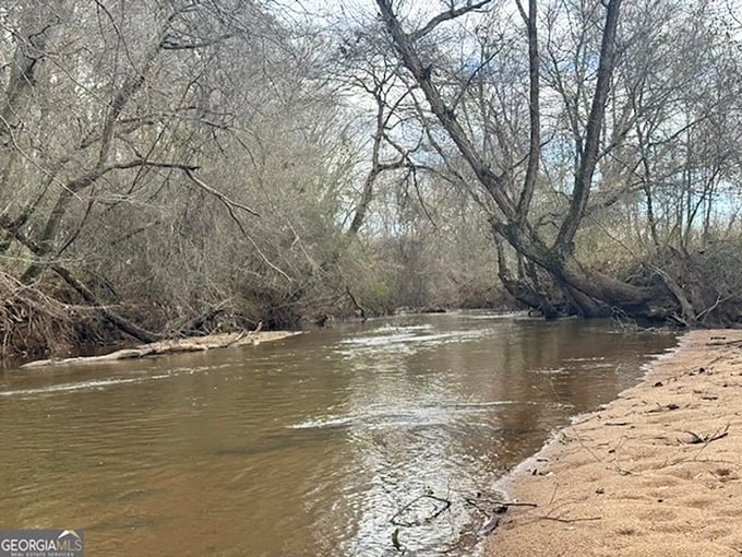 The gentle flow of this riverside spot whispers stories of centuries past—nature's own time machine just a short walk from downtown Madison.