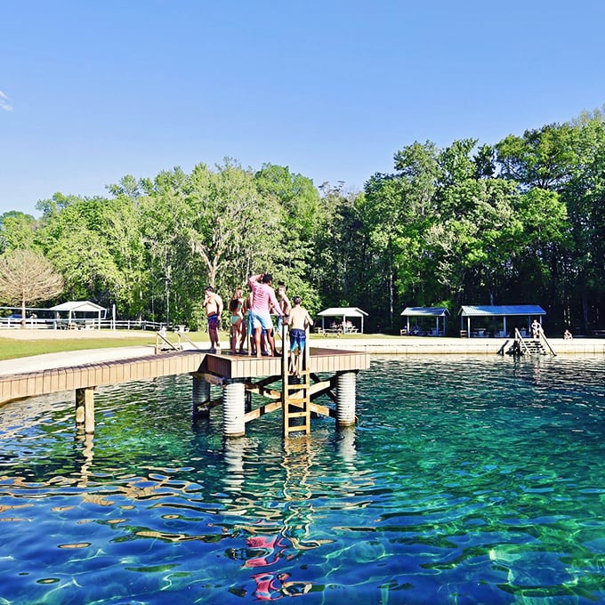 Ginnie Springs' crystal-clear waters invite you to float away your worries—and possibly spot fish judging your swimming technique.