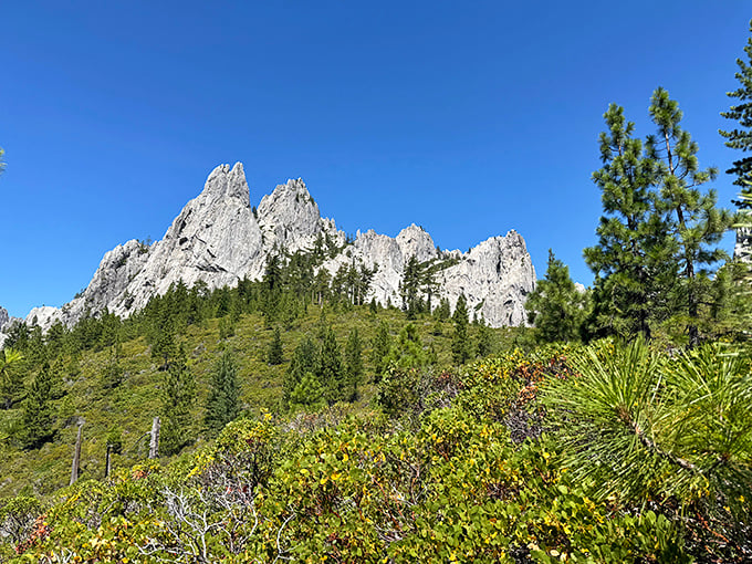 Mother Nature's architectural masterpiece. These towering spires make you wonder if Gaudí himself might have moonlighted as a geological consultant.