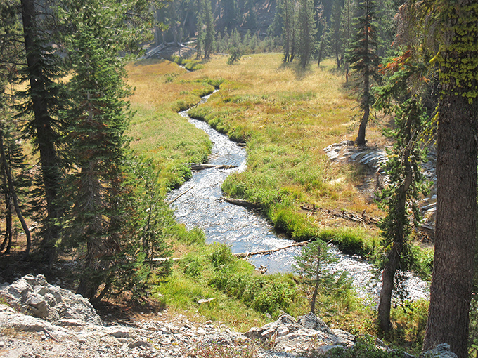 Kings Creek's meadow phase – calm, meandering, peaceful – the waterfall equivalent of your friend before their morning coffee kicks in.