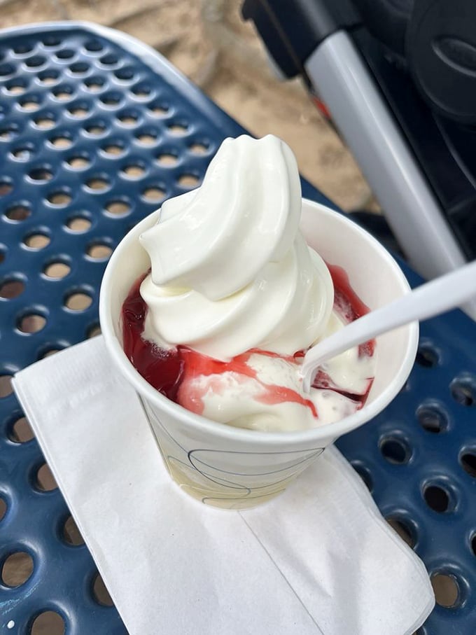 Soft-serve sundae perfection that proves some of life's sweetest moments come in the simplest packages.