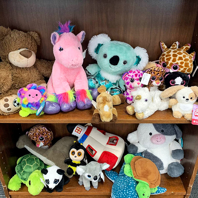 The stuffed animal section: where yesterday's beloved toys await their next adventure with a new generation of huggers.