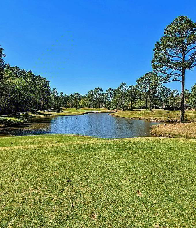 Pine Forest's serene lake and manicured greens offer golfers the perfect excuse to spend four hours "communing with nature" while hunting for wayward balls.