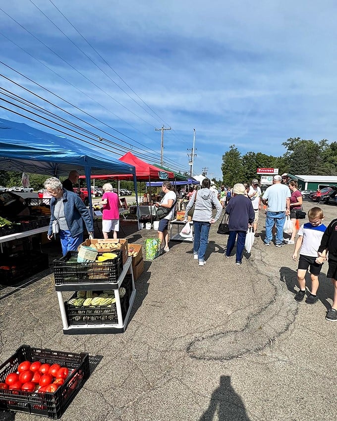 The local farmers' market isn't just shopping—it's a Saturday morning social club where tomatoes are merely the conversation starters.