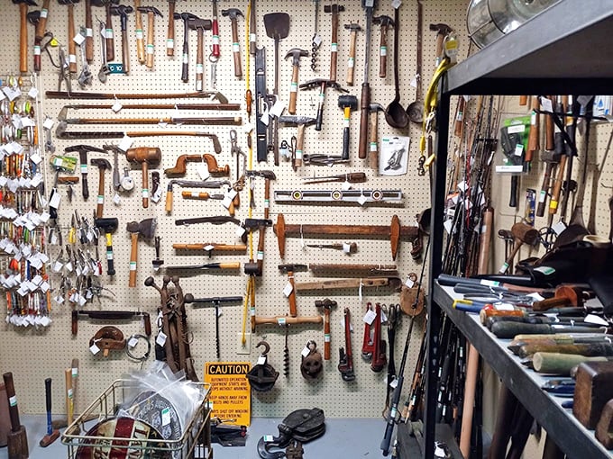 A wall of tools that would make your grandfather nod in approval—each hammer, wrench and saw telling stories of homes built and hobbies pursued.