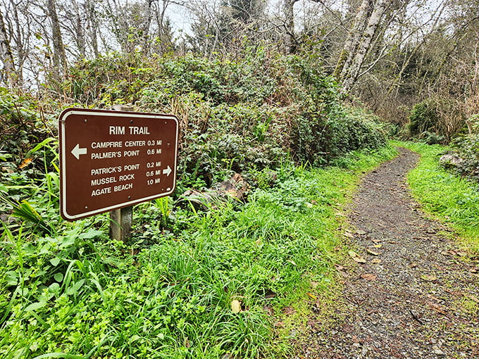 Trail markers that promise adventure without requiring you to download yet another app to find your way.