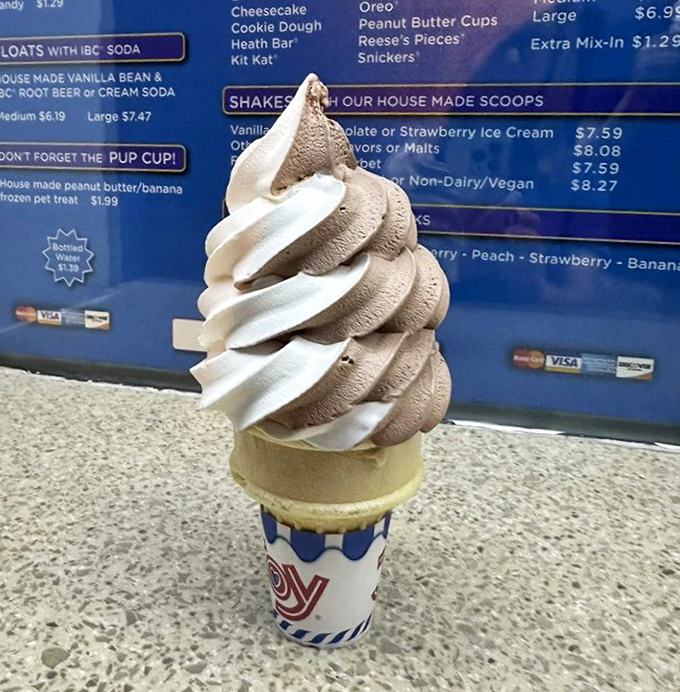 The perfect twist cone—chocolate and vanilla in harmonious balance, like yin and yang if the ancient Chinese had soft-serve machines.