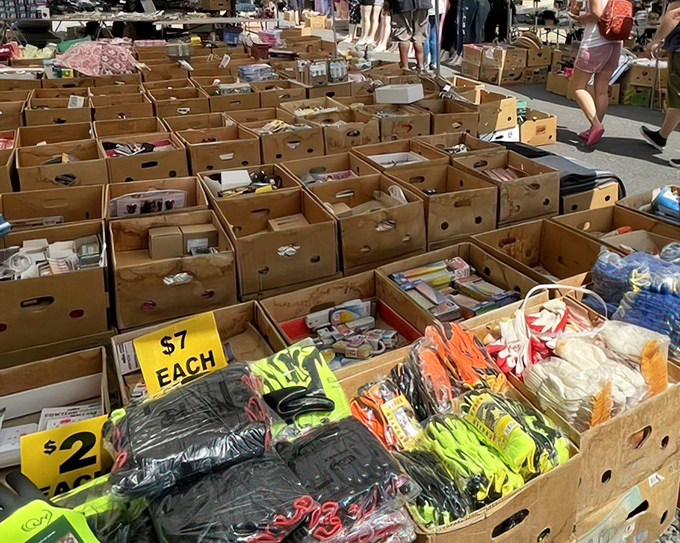 Treasure hunting at its finest—cardboard boxes become galleries of possibility where one person's castoff becomes another's prized discovery.