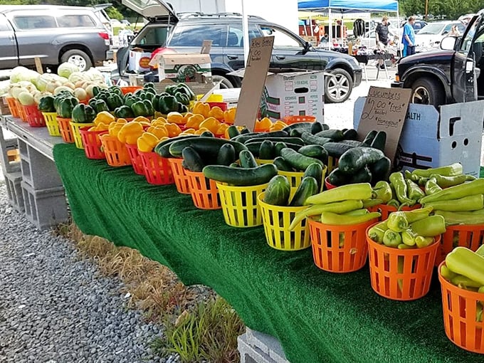 Nature's color palette on display! These vibrant vegetables bring farmers' market freshness to the flea market experience—proof that not all treasures are vintage.