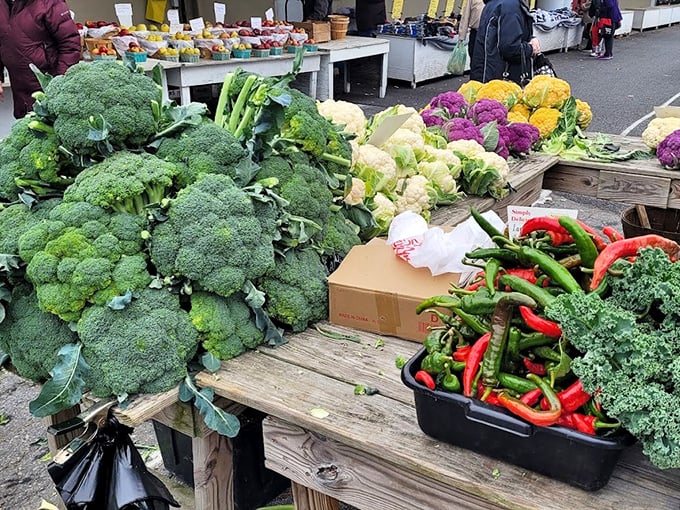 Farm-fresh vegetables that make grocery store produce look like sad imposters. These aren't just ingredients—they're possibilities.