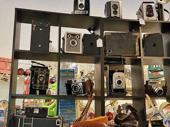 Vintage cameras that captured family memories long before selfies existed. Each one tells a story – no filters needed.