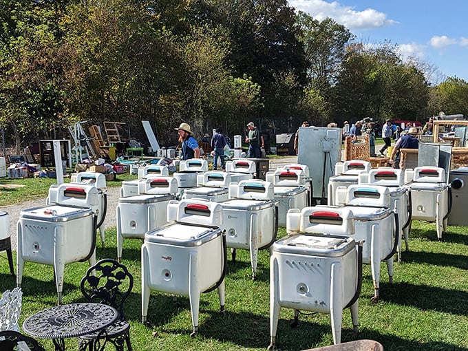 The washing machine graveyard—where vintage appliances gather to remind us that laundry day used to be a full-body workout.