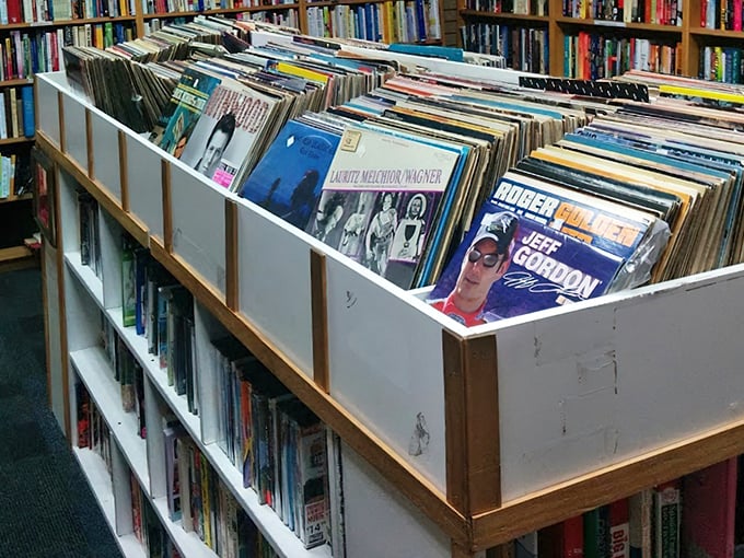 Vinyl enthusiasts, rejoice! These record bins hold forgotten classics and unexpected gems waiting to spin their way back into someone's collection.