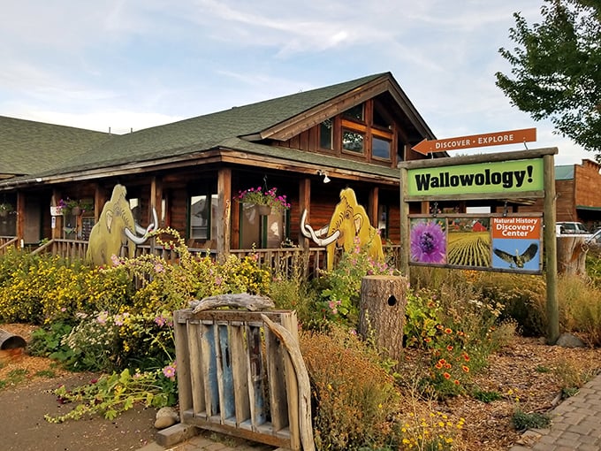 Wallowology Discovery Center—where mammoth cutouts guard the entrance to natural history lessons you'll actually remember. Science with personality!