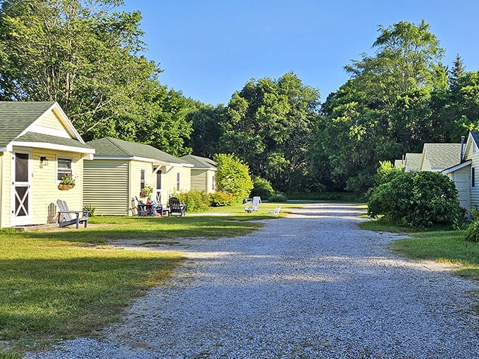 Wayfarer Lodgings delivers cozy accommodations where relaxation comes standard, not as an expensive upgrade option.