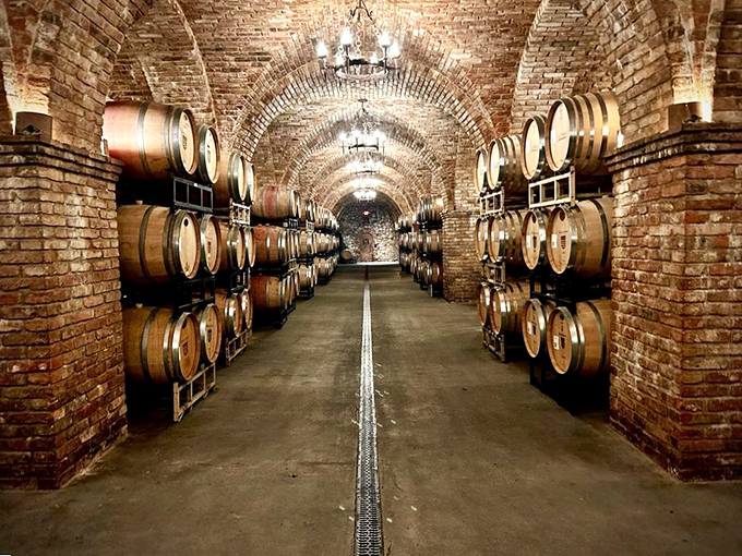 Wine aging gracefully in its brick-vaulted nursery. These barrels contain liquid treasures that improve with time, much like the stories we tell about visiting.