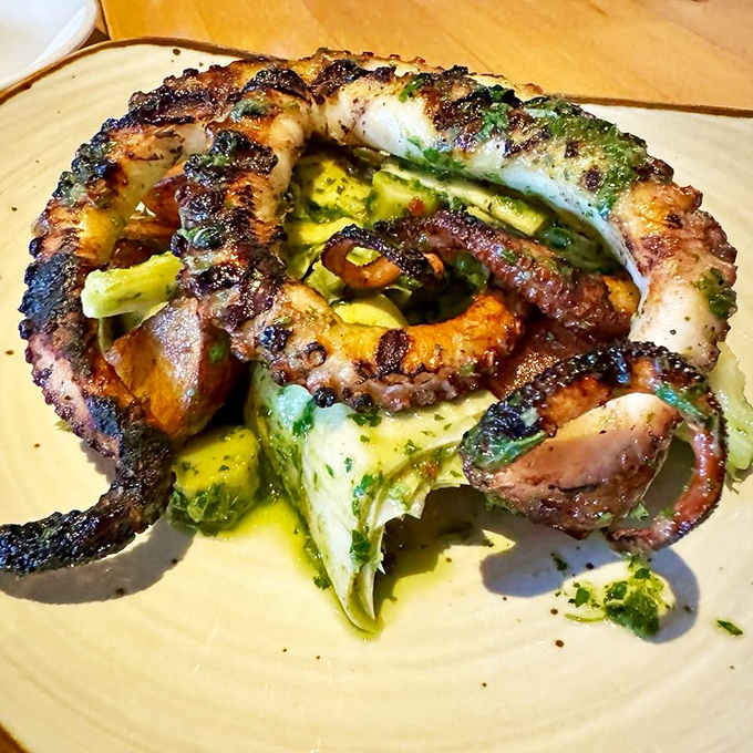 This octopus didn't just get cooked – it got a Mediterranean spa treatment before being perfectly charred and plated like modern art.