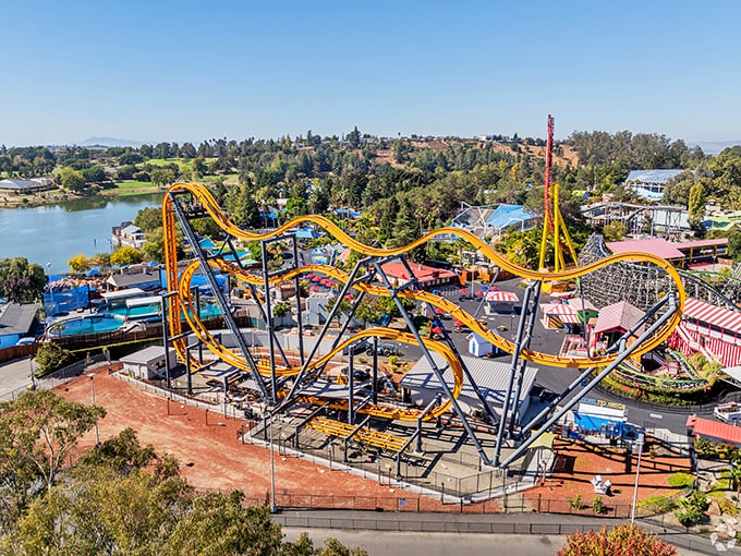 Six Flags Discovery Kingdom's roller coasters twist like my attempts to explain cryptocurrency to my retirement group – thrilling, confusing, and guaranteed to make someone scream.