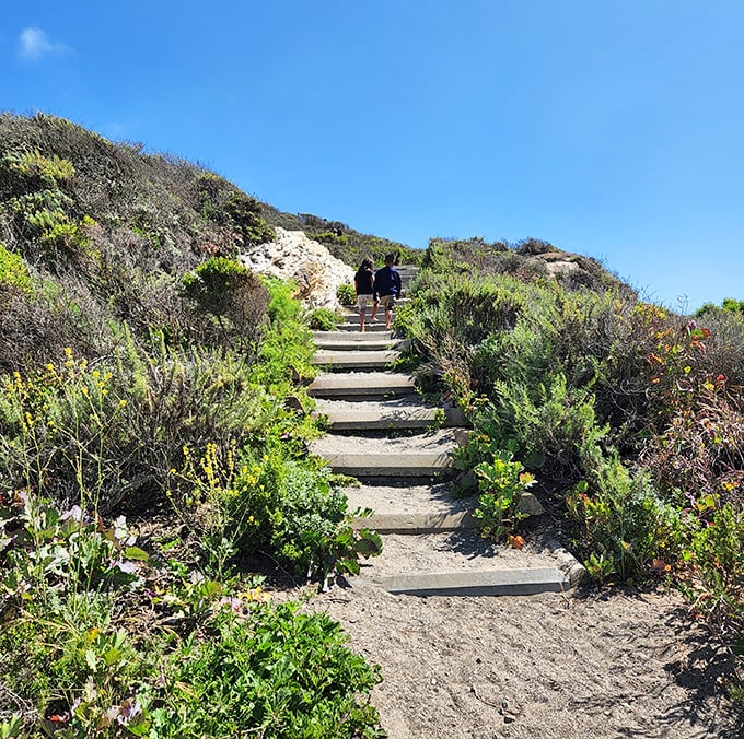 Stone steps carved by countless boots, leading to views that make your phone camera weep.