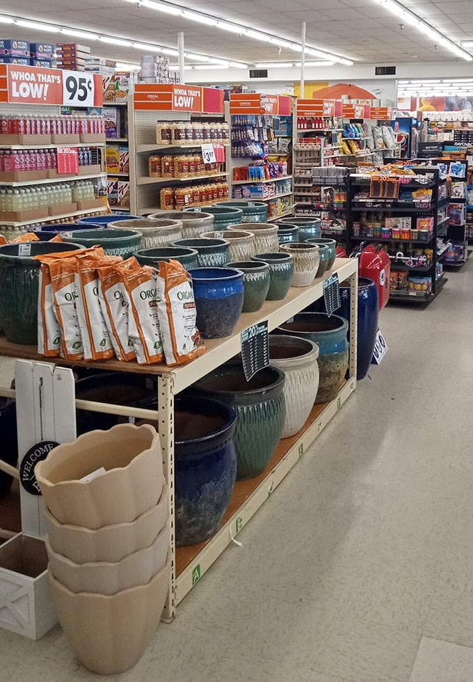 "Whoa That's Low!" signs punctuate aisles of colorful planters – garden ambitions bloom year-round regardless of Ohio's weather patterns outside.